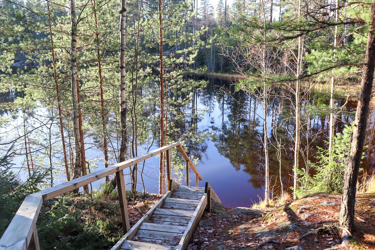 Hotelli Korpilampi - luontohelmi keskellä espoolaista metsää - Outdoor ...