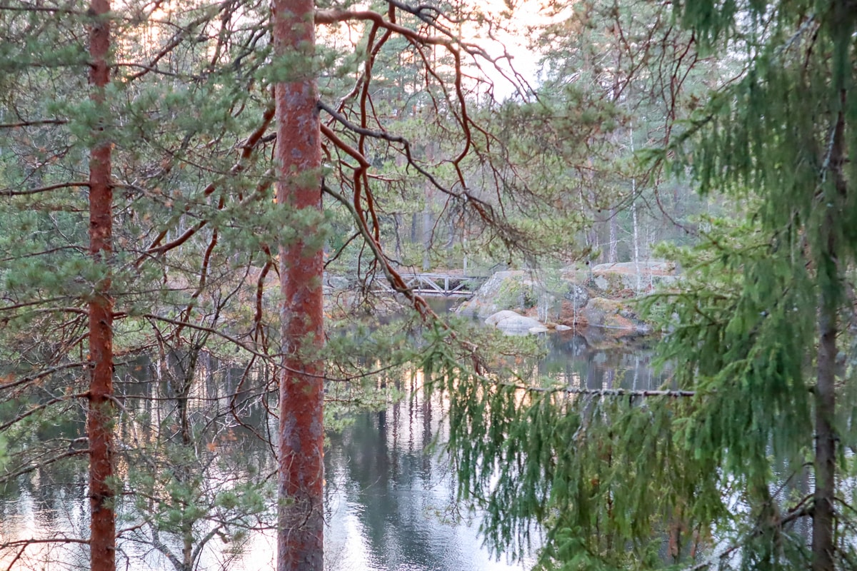 Hotelli Korpilampi - luontohelmi keskellä espoolaista metsää - Outdoor ...